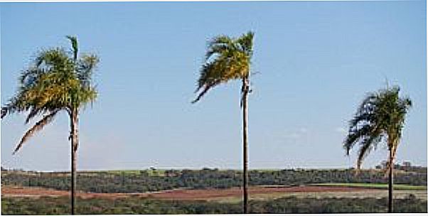 Pousadas em Delta, Hotéis em Delta - MG - Restaurantes Imobiliárias ...