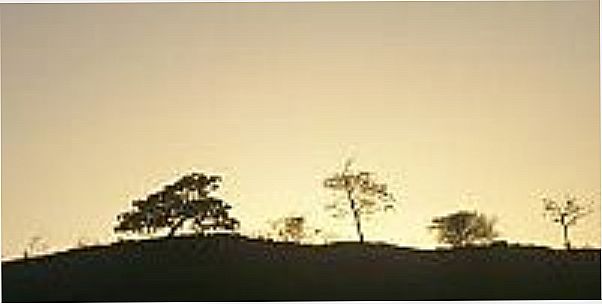 Pousadas em Geolândia, Hotéis em Geolândia - BA - Restaurantes ...