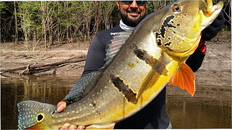 Pousada Uatumã Eco Fishing Telefone - Balbina | Férias