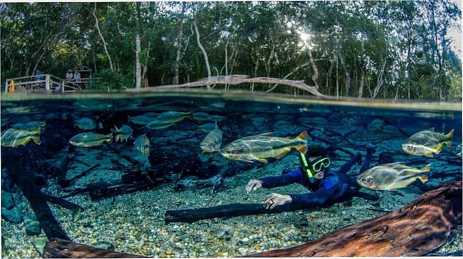 Recanto Ecológico Rio da Prata - Jardim | Férias