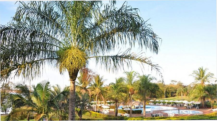 Ubatã Thermas Parque Hotel Telefone - Conceição das Alagoas | Férias