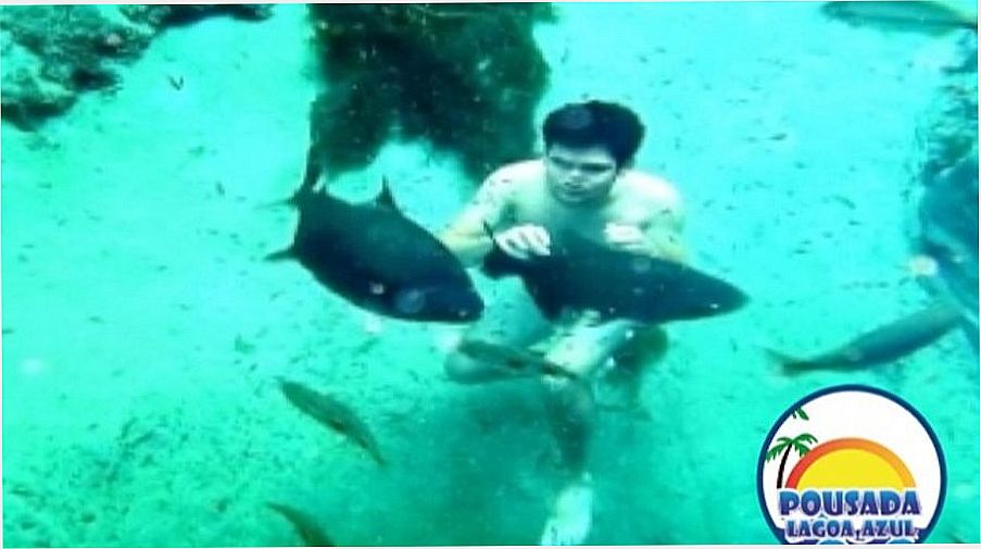 Pousada Lagoa Azul Telefone - Nobres | Férias