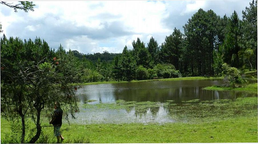 Turismo Rural Sitio Panamar Telefone - Monte Bonito | Férias