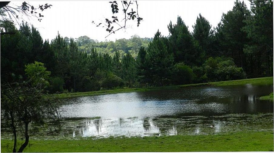 Turismo Rural Sitio Panamar Telefone - Monte Bonito | Férias