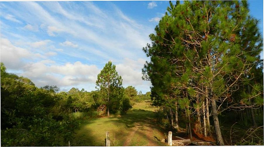 Turismo Rural Sitio Panamar Telefone - Monte Bonito | Férias