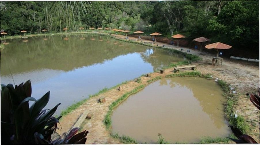 Pesqueiro Triângulo Telefone - São Lourenço da Serra | Férias