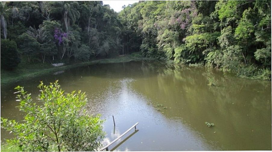 Pesqueiro Triângulo Telefone - São Lourenço da Serra | Férias