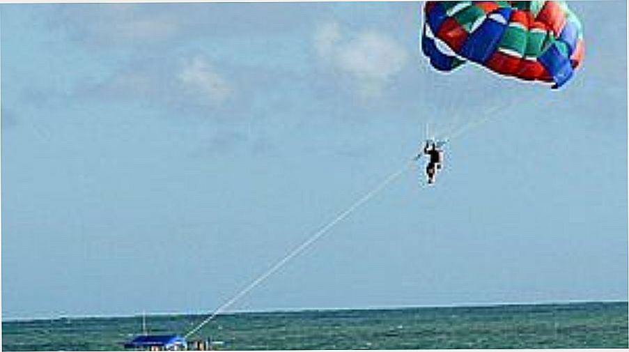 PORTOMAR PASSEIOS TURÍSTICOS Telefone - Praia do Forte | Férias